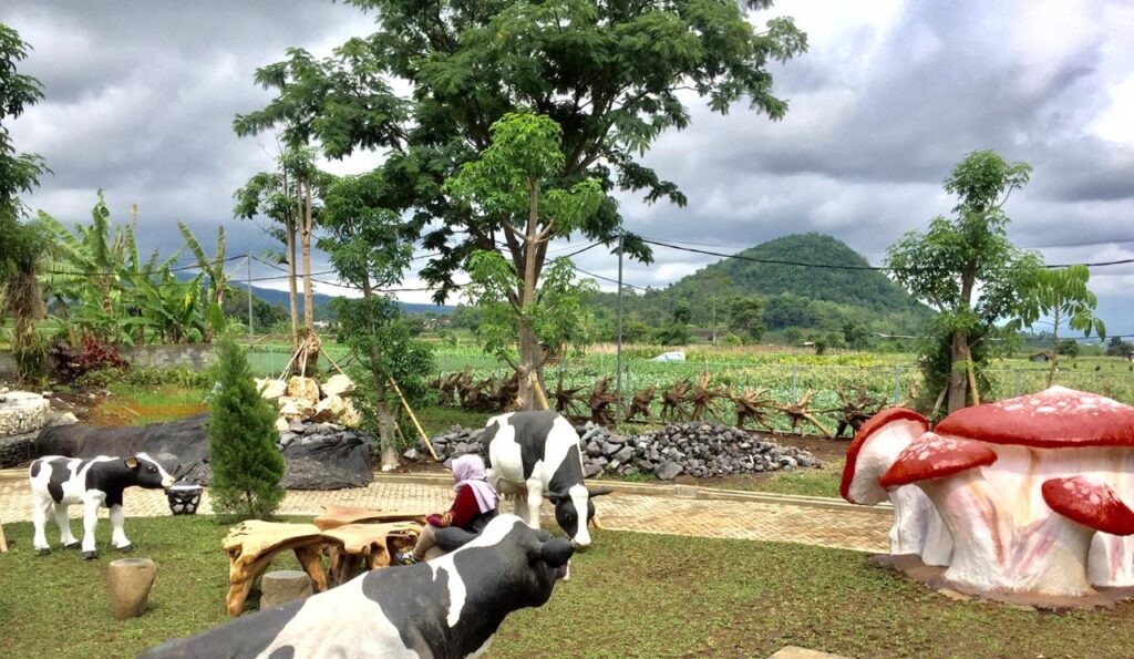 Tempat Wisata Perah Susu Sapi Di Jatim - INTRA62.COM