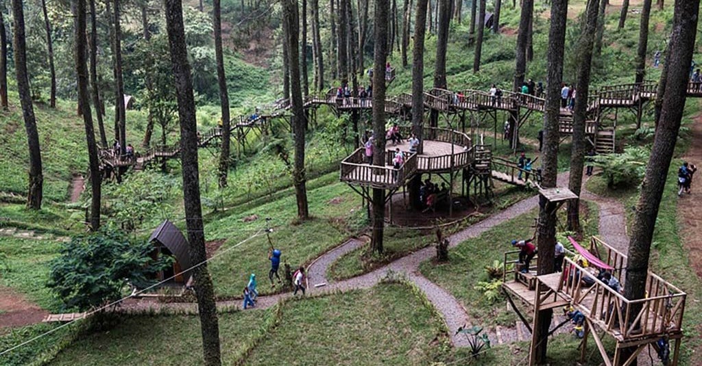 Orchid Forest Cikole Wisata Alam di Lembang, Bandung - INTRA62.COM